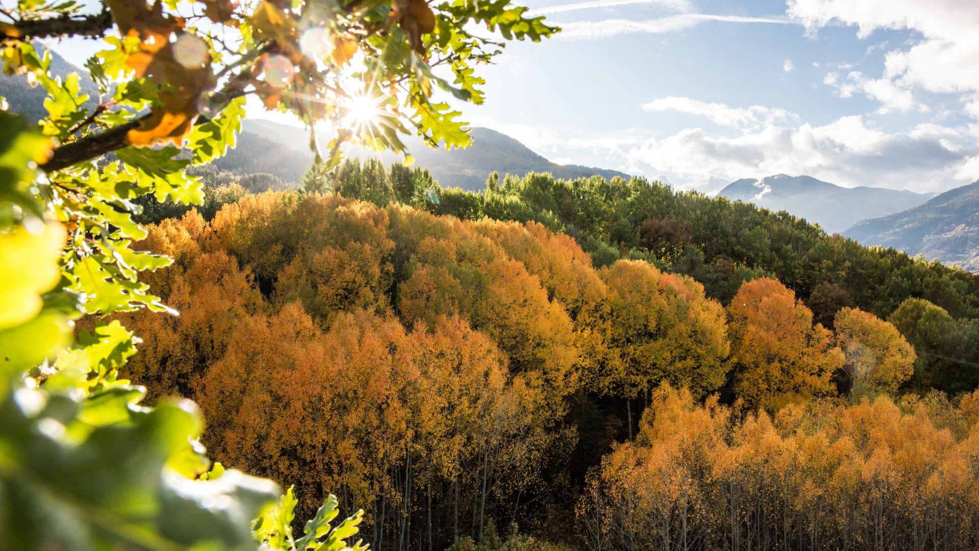 Automne | Vacances montagne dans le Queyras – Site officiel